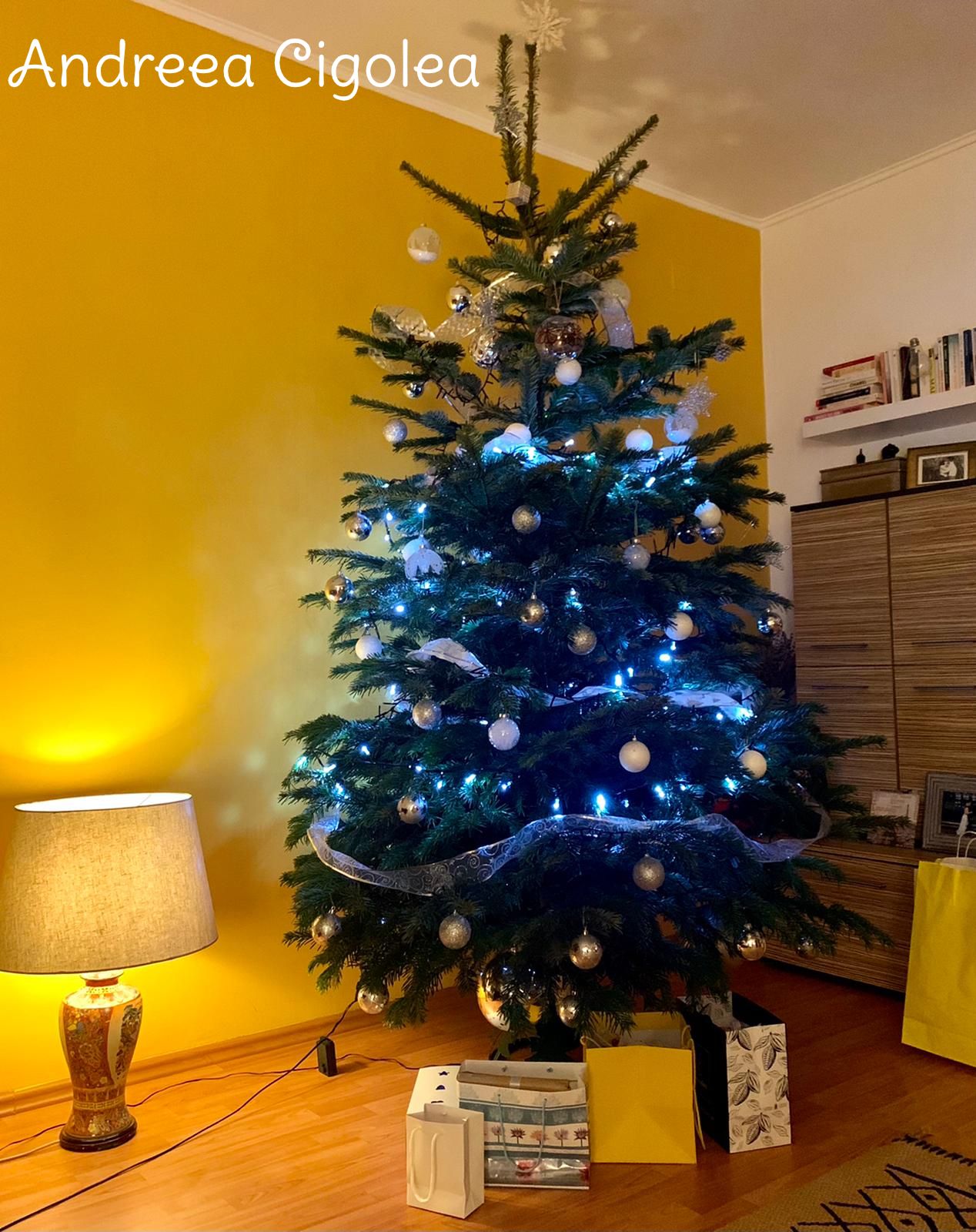 Ce prezentator Antena 3 are cel mai frumos brad? Votaţi şi încoronaţi ...