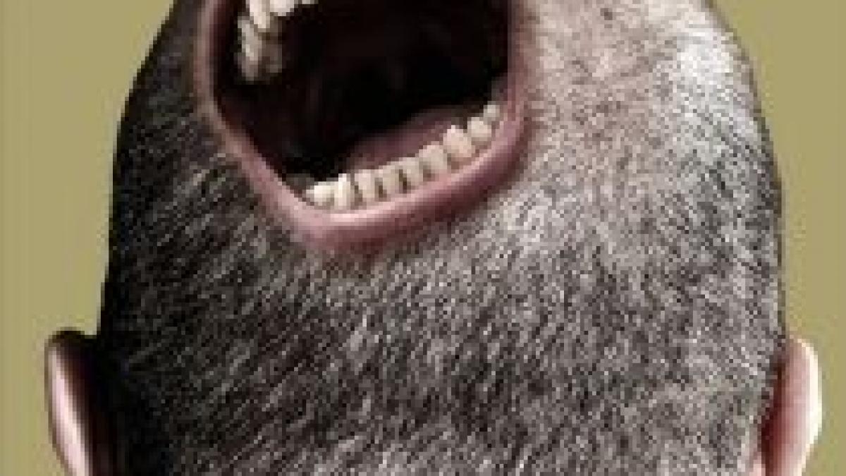 Teatrul Tineretului din Piatra Neamţ: Râs Nervos, cu Isabela Neamţu şi ...