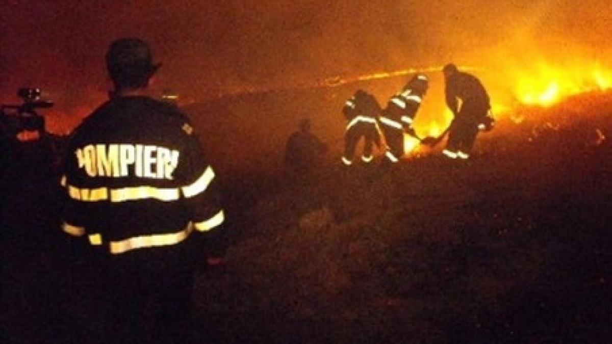 Incendiul de mirişte din Constanţa, provocat de o ţigară aprinsă