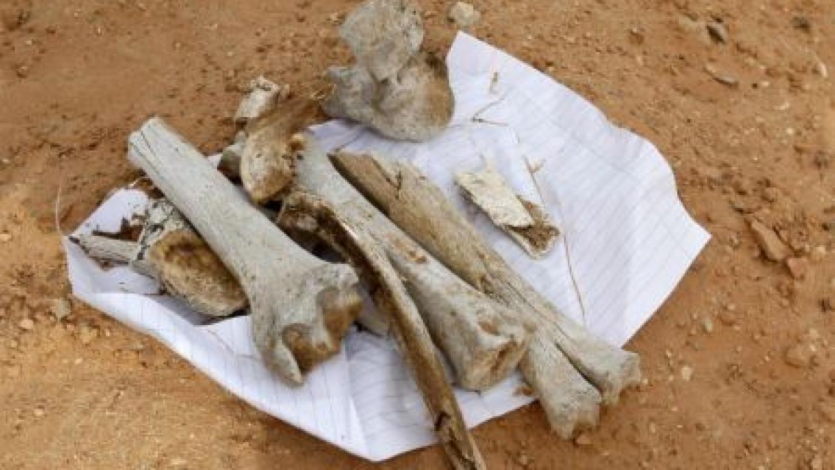 Descoperire macabră în Libia: Peste 1.700 de cadavre, găsite într-o ... Descoperire macabră în Libia: Peste 1.700 de cadavre, găsite într-o ...