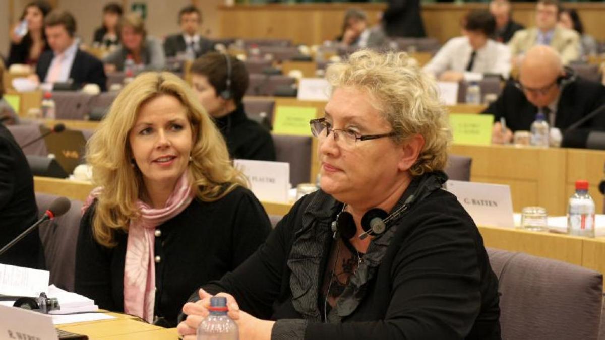 Renate Weber: Este fie schizofrenic, fie kafkian să ai în fruntea CSM ...