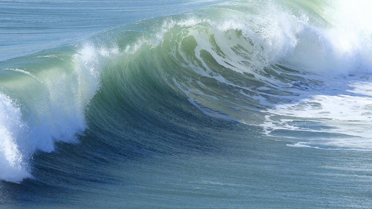 Situație alarmantă! Radiațiile de la Fukushima au contaminat Oceanul ...