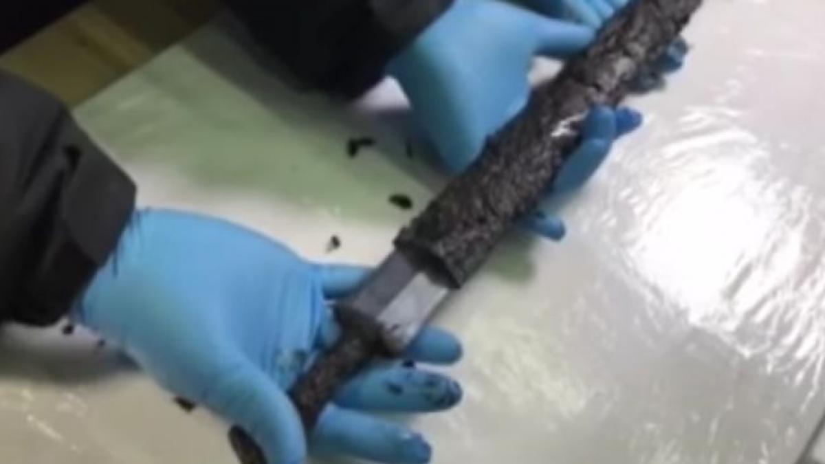 O echipă de arheologi a găsit o sabie antică, veche de peste 2000 de ...