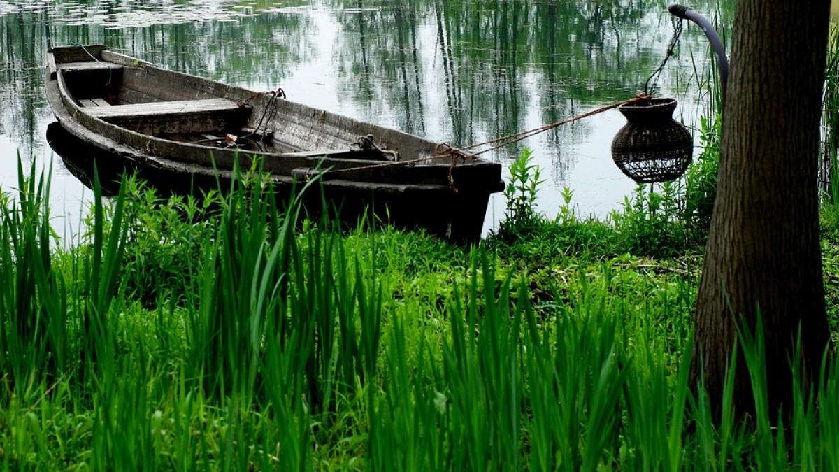 Legenda monstrului de aproape 700 de kilograme prins în Delta Dunării ...