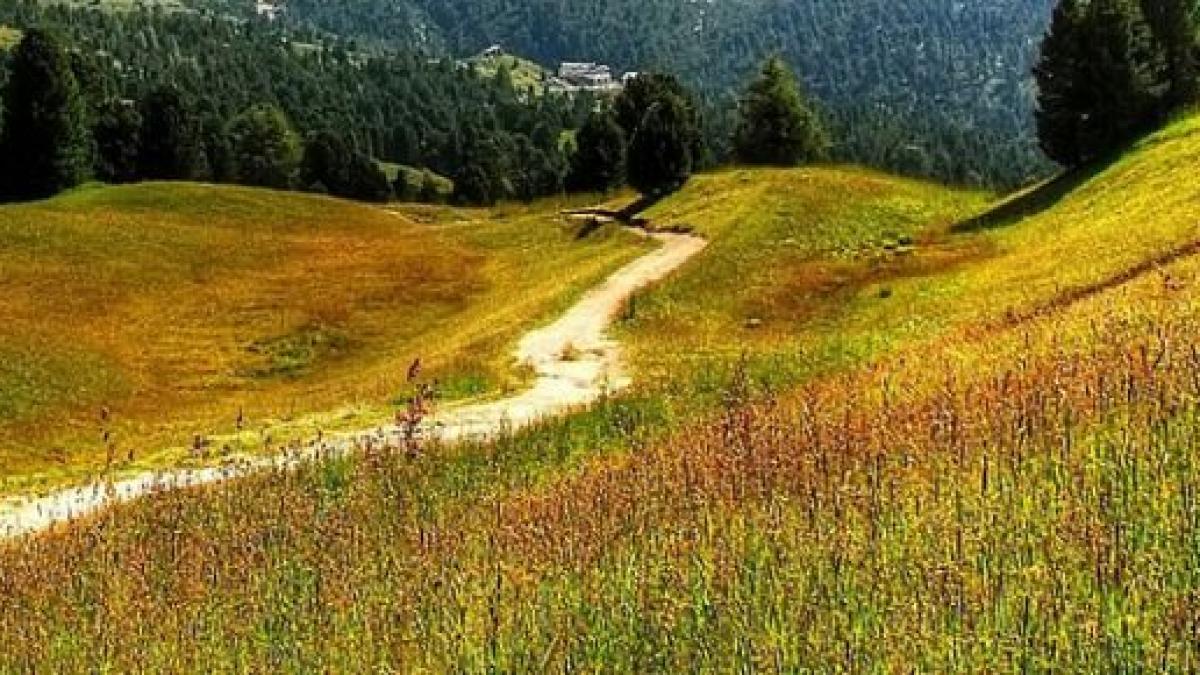 Satul românesc în care o casă costă cât un salariu mediu. Peisajul este ...