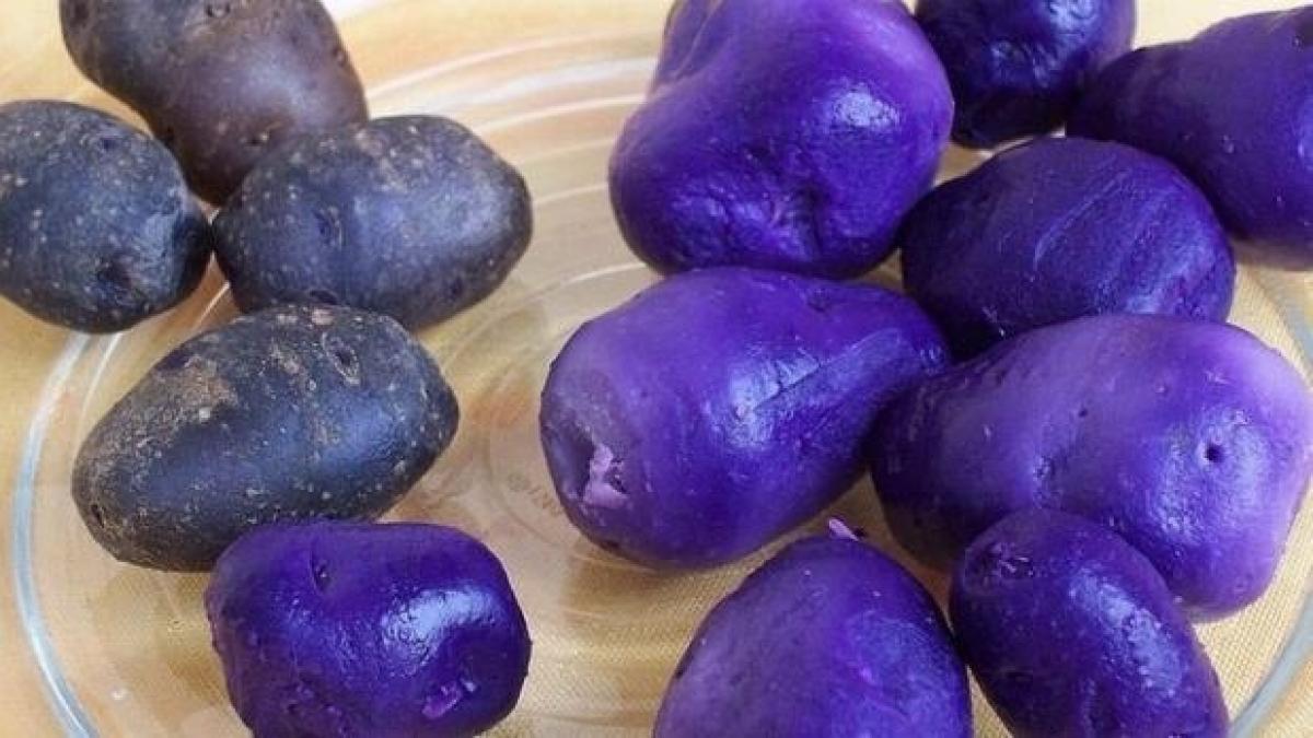 Adevărul despre cartofii violet care se găsesc în supermarketurile din ...