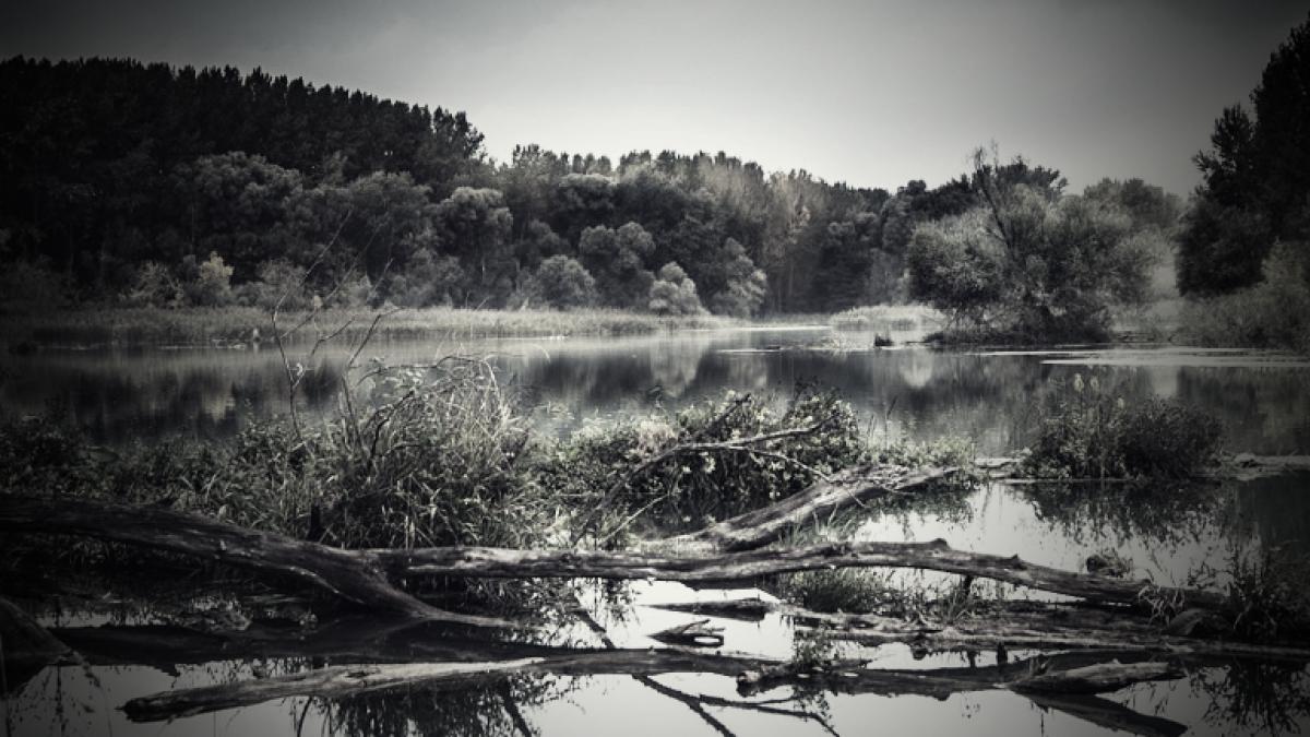 Fata din Teleorman dispărută în râul Vedea a fost găsită moartă, după ...