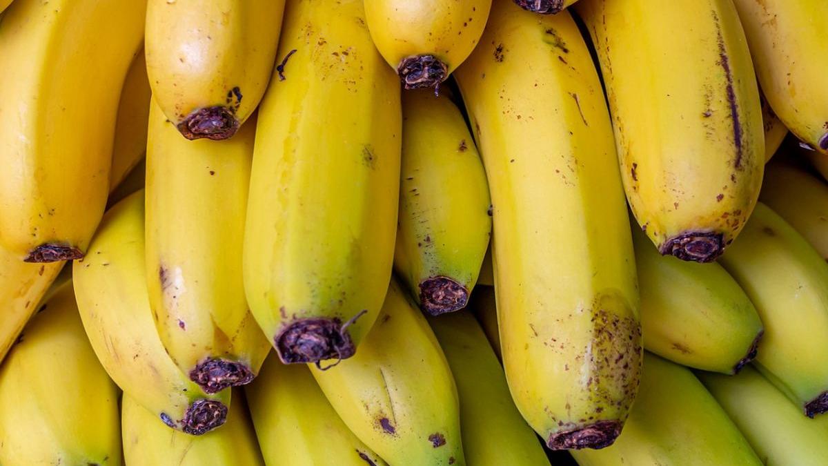 Locul din România de unde poţi culege banane din copac