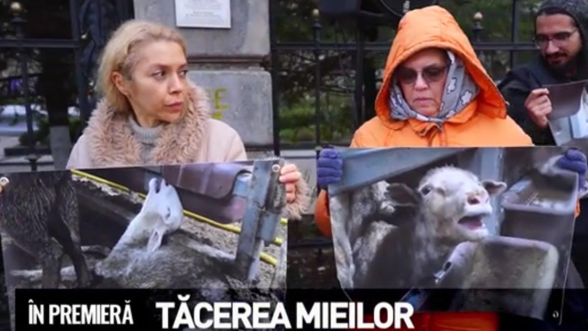 În Premieră. Tăcerea mieilor