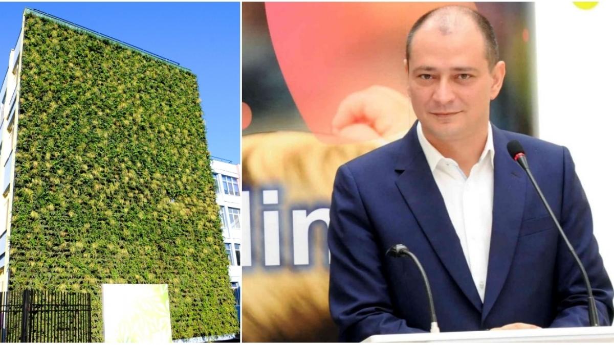 Primarul Daniel Băluţă propune ''Pereţi Verzi'', un proiect inedit ...