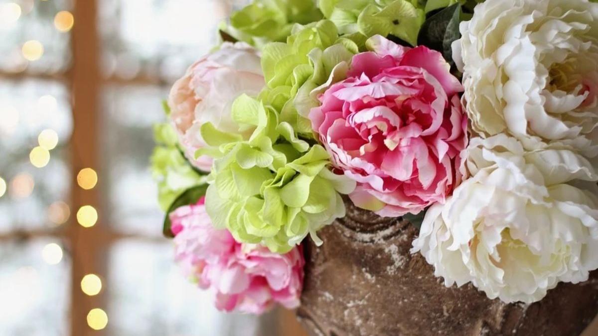 Cele mai populare tipuri de hortensii și cum pot fi îngrijite