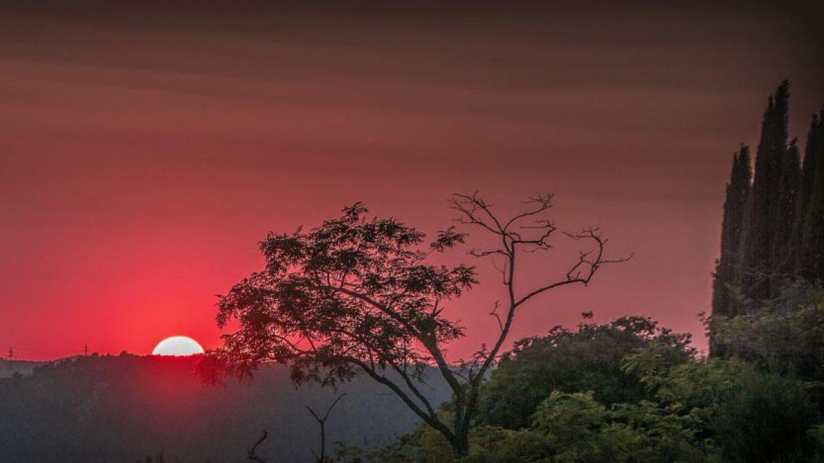 Solstițiu de vară 2022. Ce ai voie și ce nu ai voie sa faci în cea mai ...