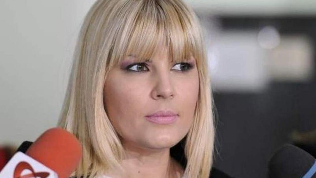 Elena Udrea, mesaj din închisoare: Deținuții ar munci, dar nu au unde