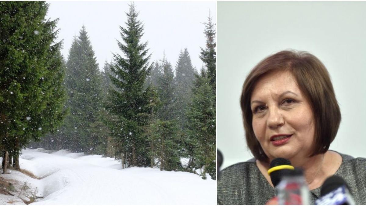 Prognoza meteo iarnă 2022-2023. Directorul ANM a dezvăluit cum va fi vremea în lunile următoare