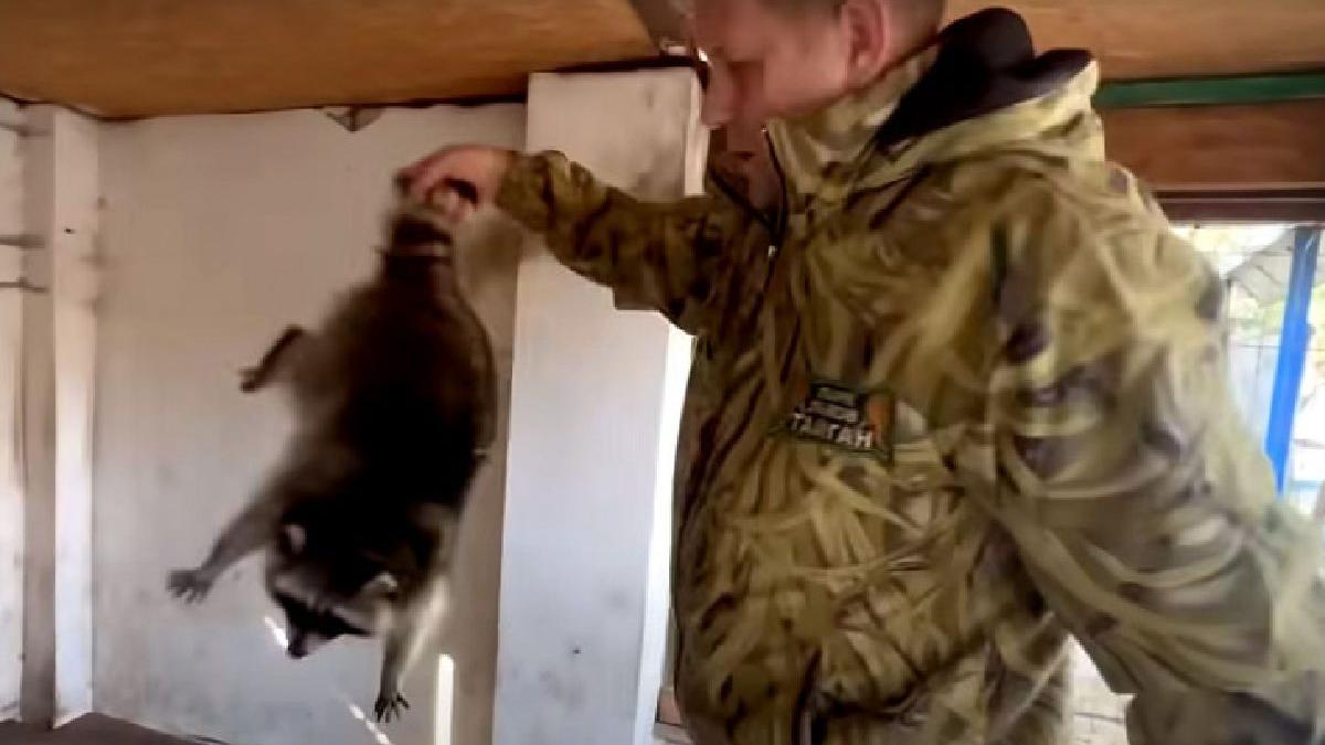 Omul de afaceri rus care a furat ratonii de la un zoo din Herson şi-a ...