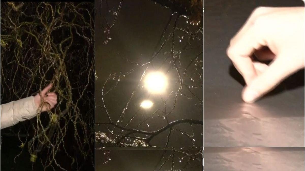 Avertizare ANM de polei, valabilă până vineri. Zonele vizate de Codul ...