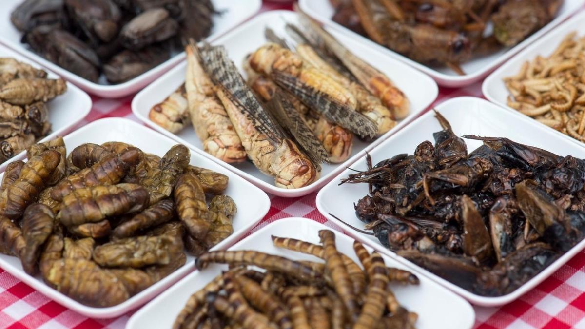 ANPC, reguli noi privind produsele alimentare ce conțin insecte. Ce ...