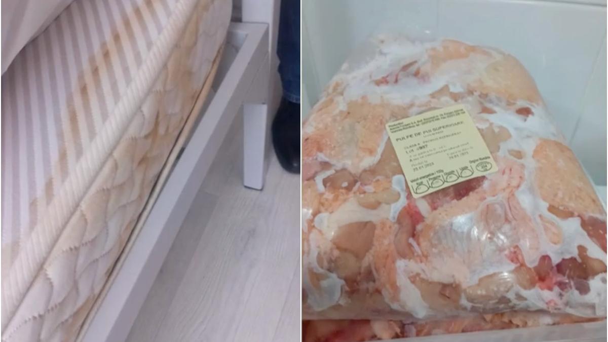 Mâncare expirată, ploșnițe și râie la azilele de bătrâni. Controalele s ...