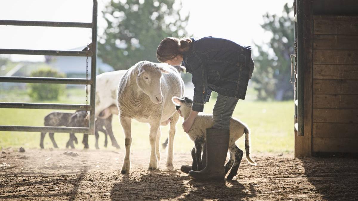 Un singur animal din lume nu poate privi în sus, spre cer. Mai toți ...