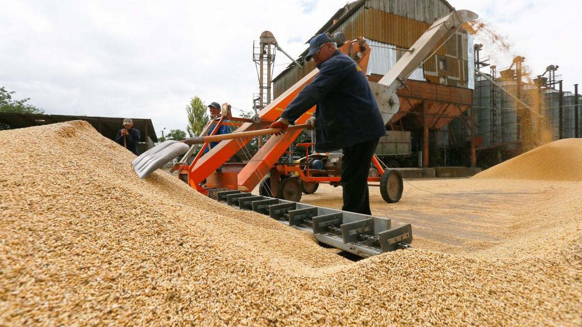 Ucraina, liber la exporturi de cereale fără taxe în Uniunea Europeană ...