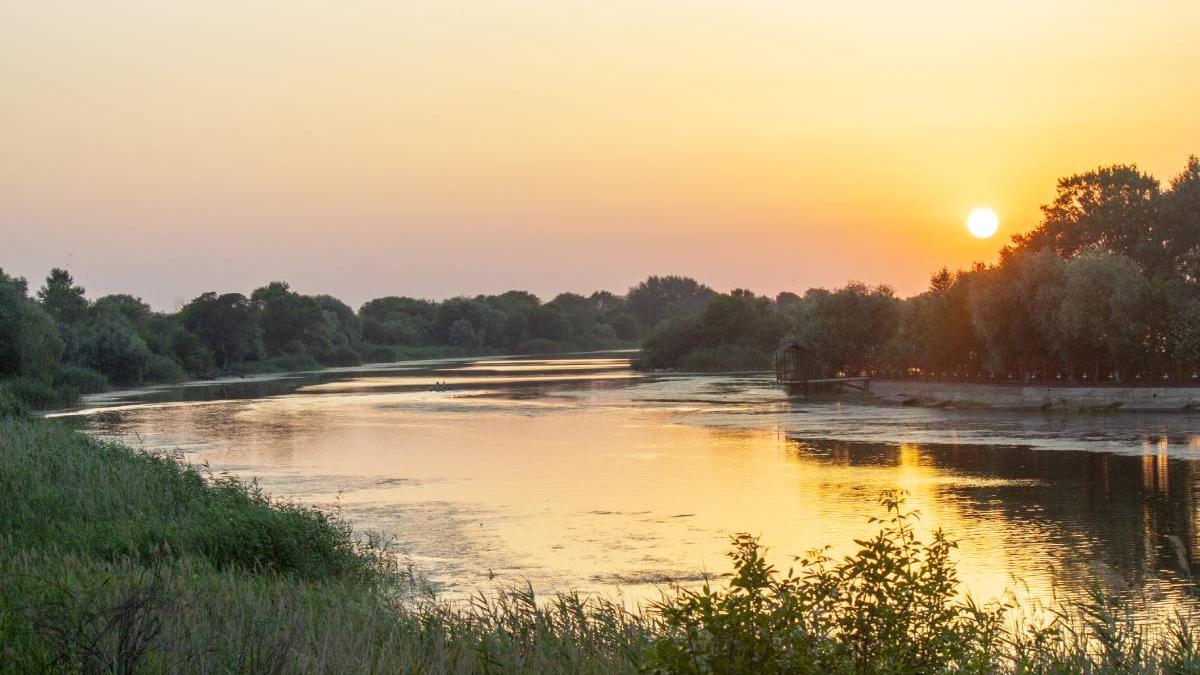 De dorul părinților, aflați la muncă în Italia, un copil de 14 ani, din ...