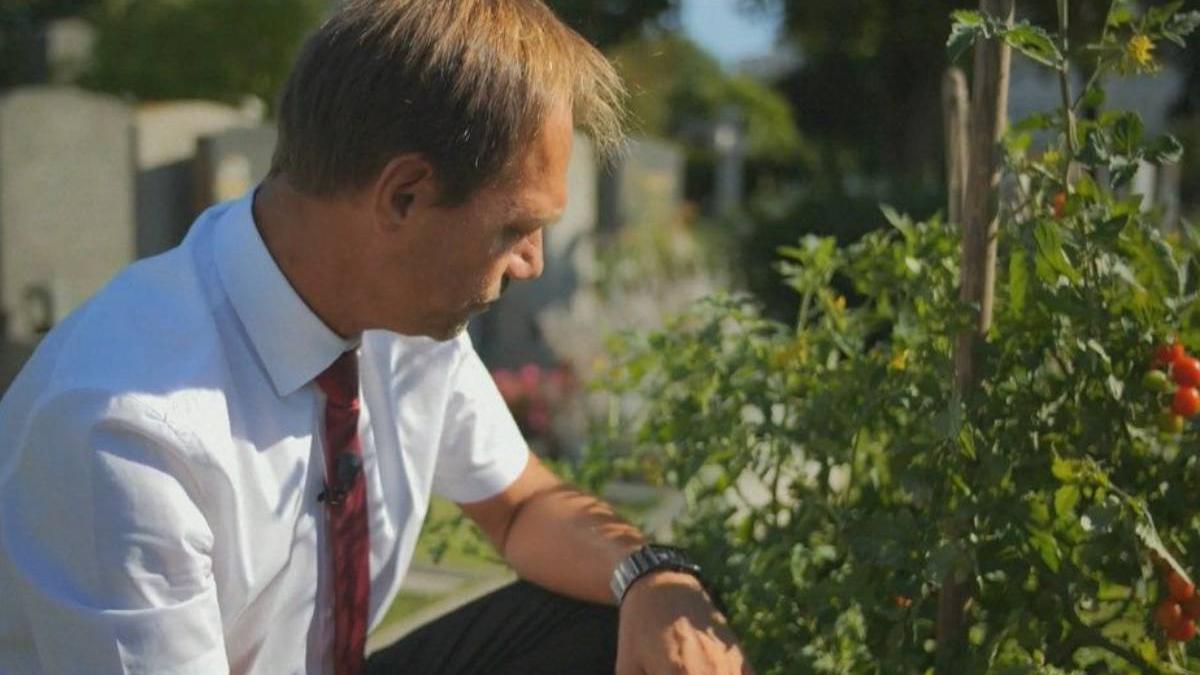 Țara în care oamenii au ajuns să planteze roșii pe morminte, în cimitir ...