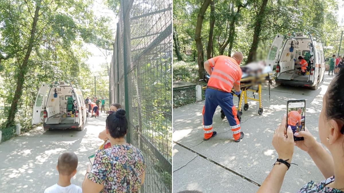 Bărbat atacat de un tigru, la Grădina Zoologică din Bârlad