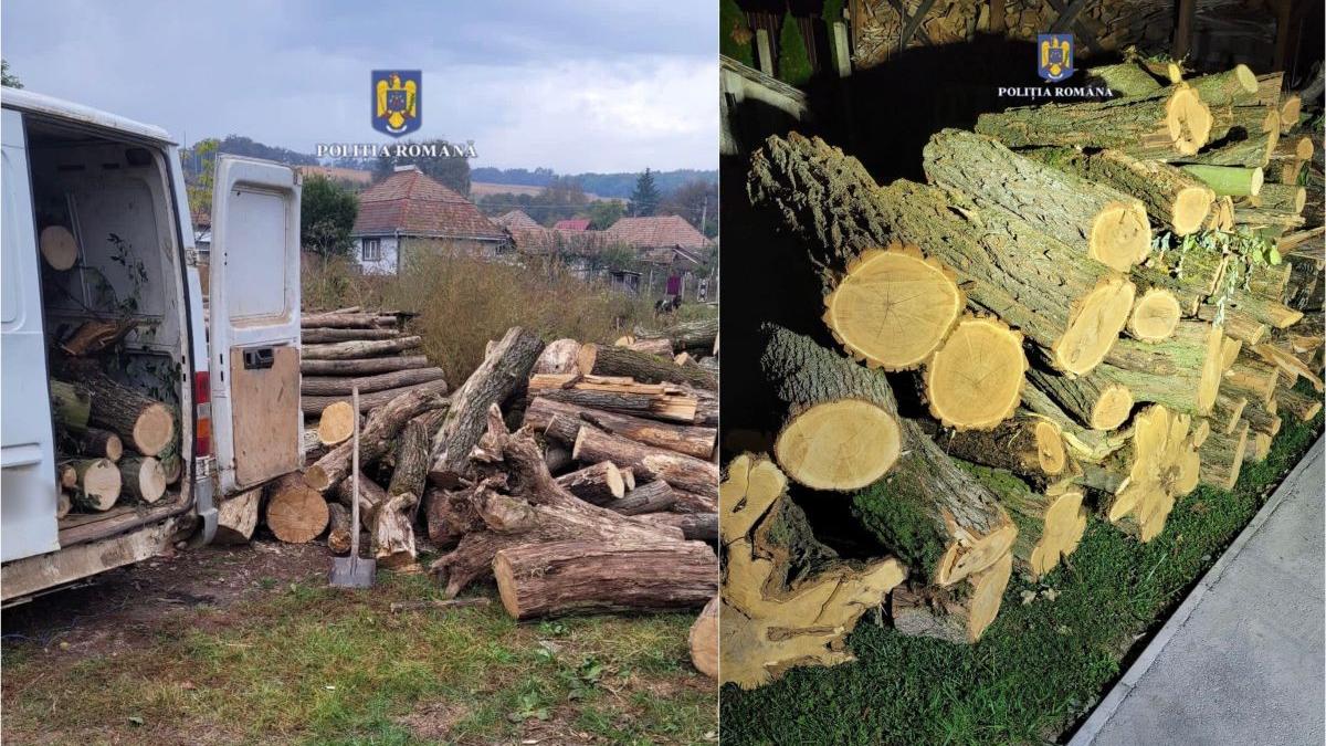 Pădurar prins la furat lemne din pădurea pe care o avea în grijă. Acum ...