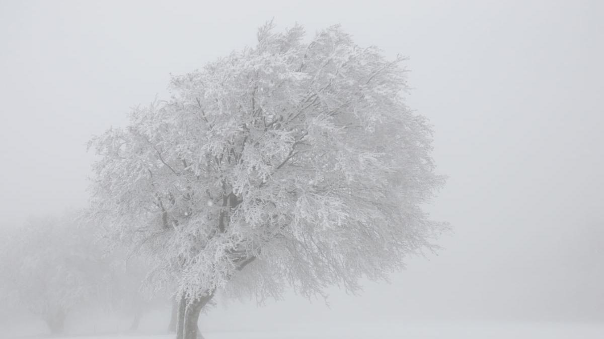 România, lovită de un nou episod de viscol. Temperaturile se prăbușesc ...