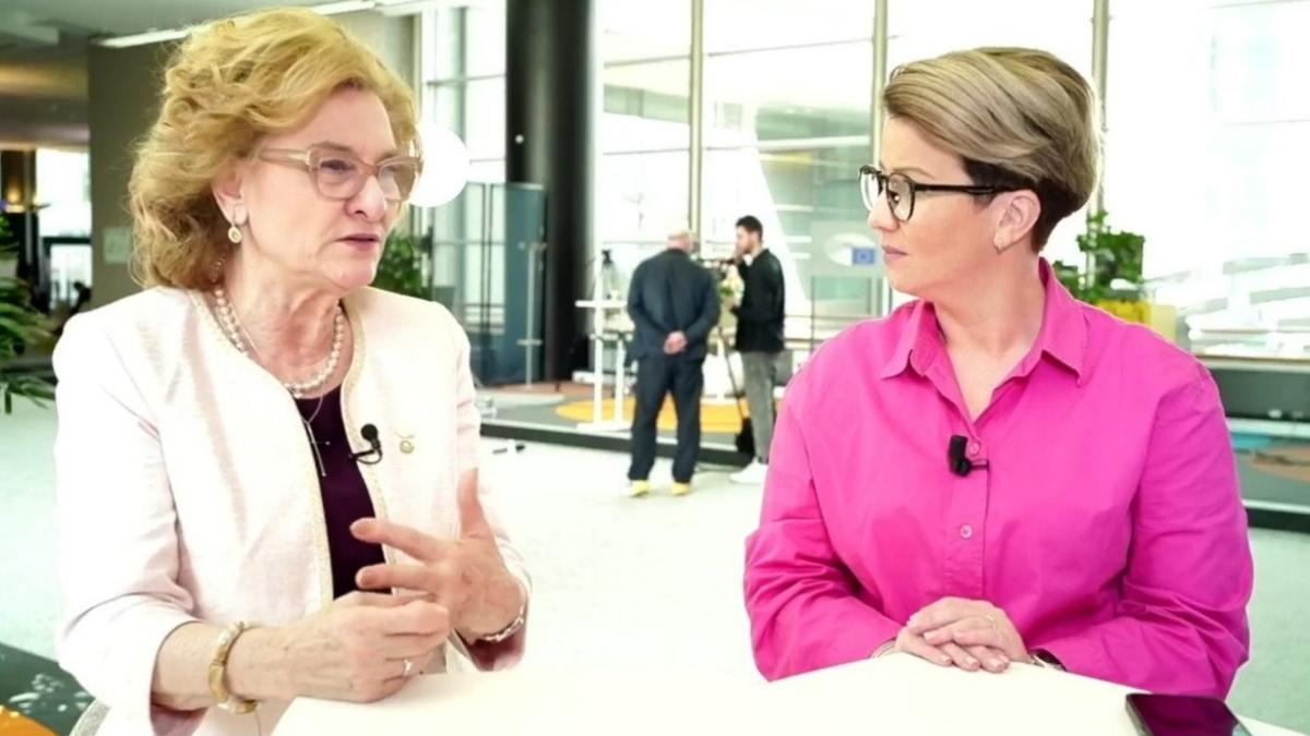 Maria Grapini, despre directivele Uniunii Europene legate de ...