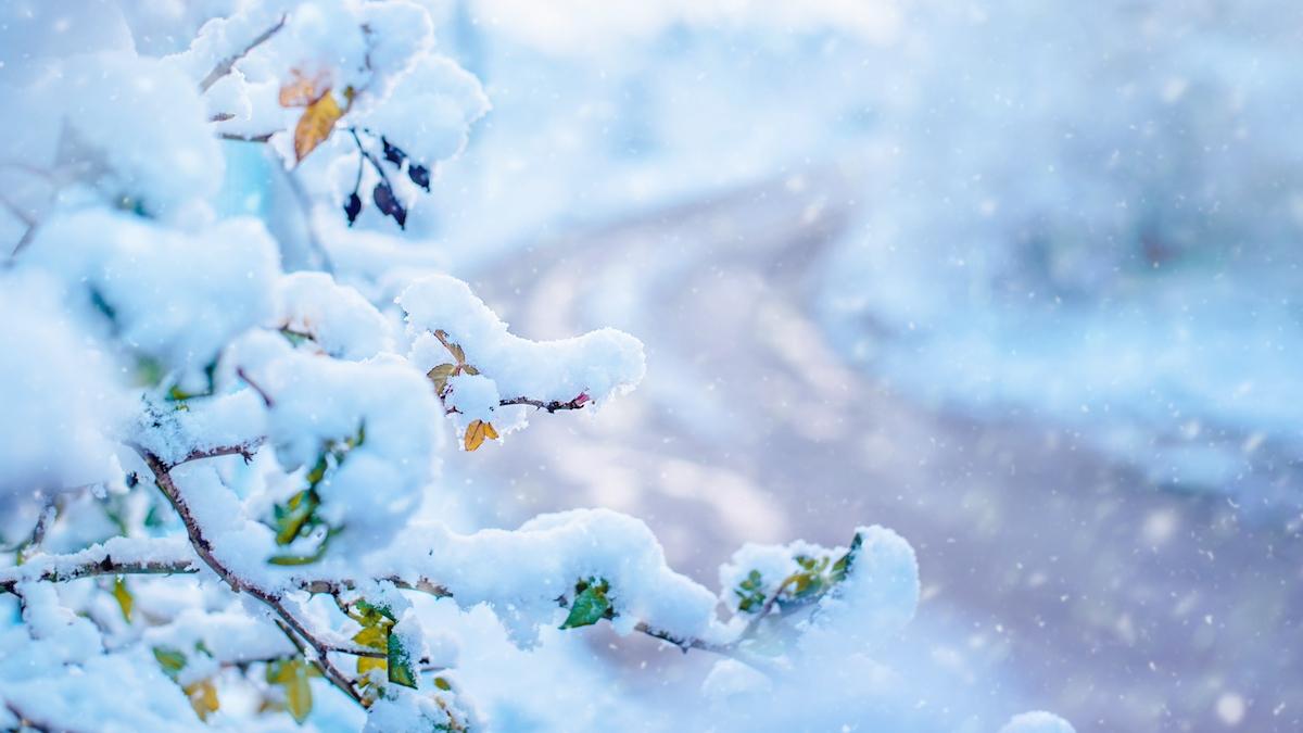 Avertizare meteo ANM de viscol și fenomene meteo periculoase! Zonele ...