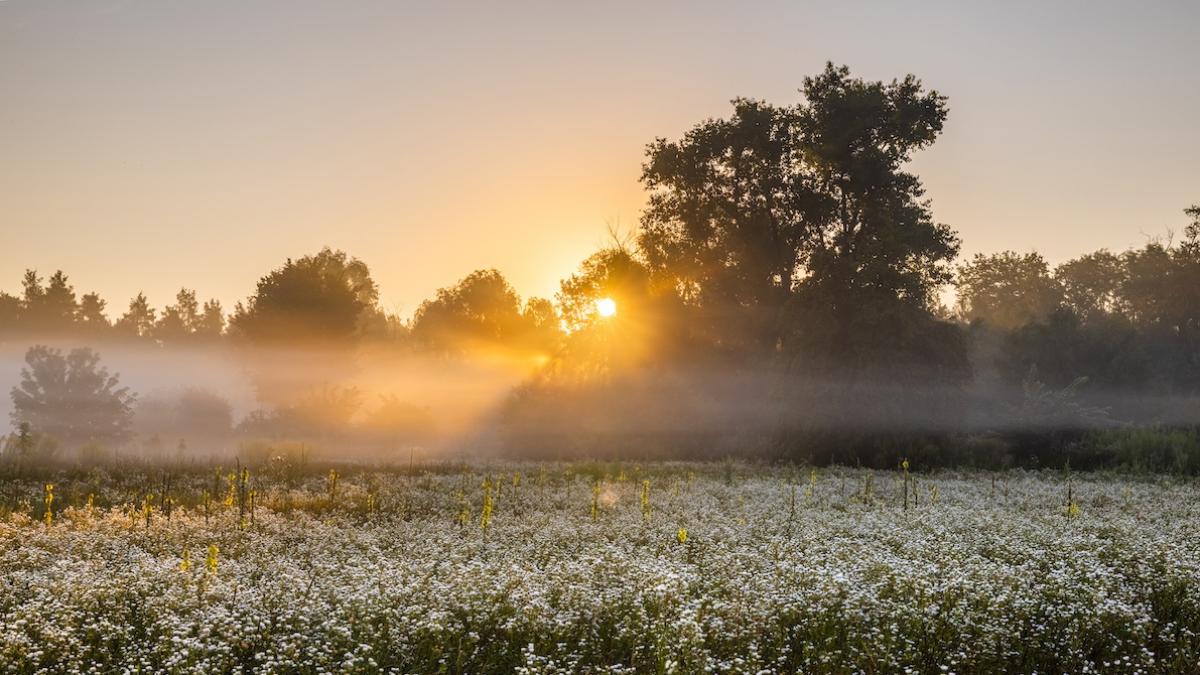 Prognoza meteo ANM 25 martie - 22 aprilie 2024. Meteorologii au anunțat ...
