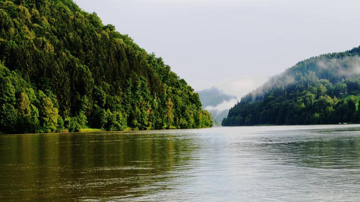 Debitul Dunării în România, motiv de îngrijorare: Nivelul apei este ...