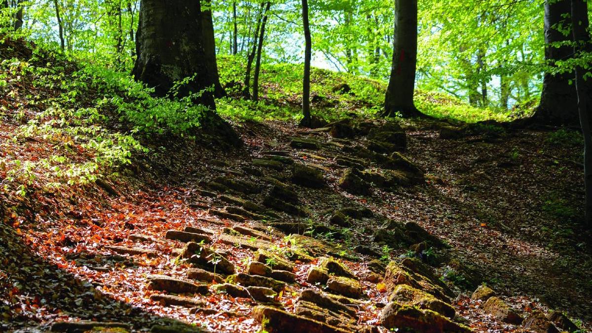Locul din România care ar ascunde o comoară impresionantă. Legenda ...