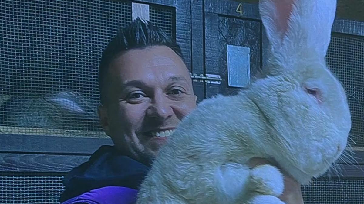 Povestea unei afaceri de succes din Lugoj. Lucian crește iepuri uriași premiați la concursuri și ...