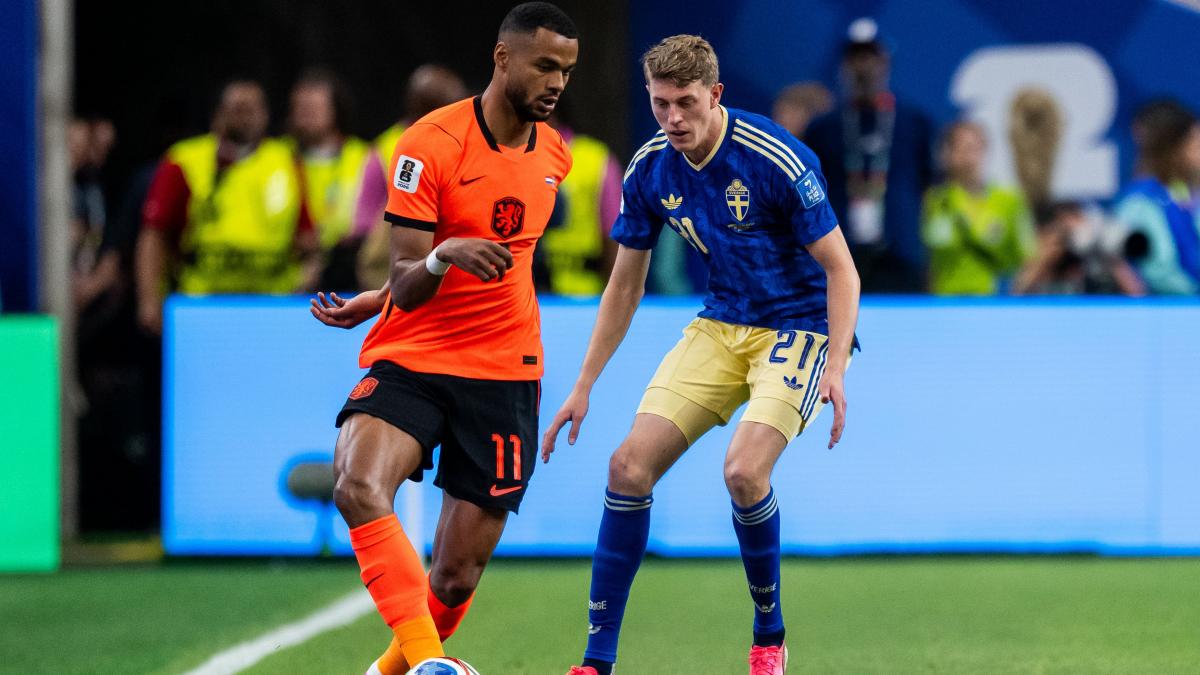 Olanda și Suedia deschid seara la Cupa Mondială. Germania și Coasta de ...