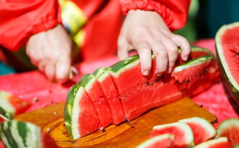 Primii pepeni de Dăbuleni s-au copt. La ce preț ajunge lubenița ...