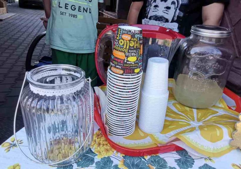 Soluţia inedită găsită de doi copii pentru a răcori trecătorii din Alba ...