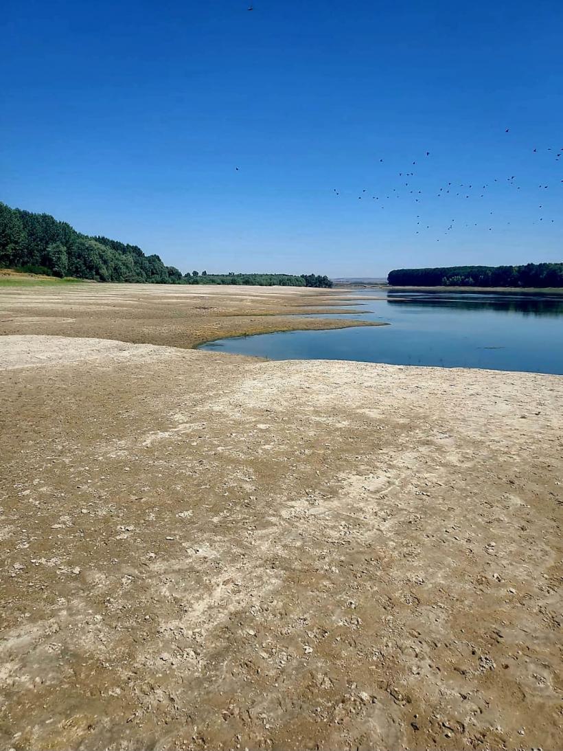 Galerie Foto - Încă două râuri din România au secat complet. Imagini ...