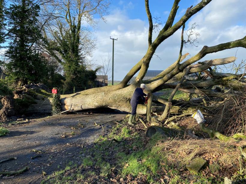 Galerie Foto - Furtuna Eowyn a făcut prăpăd în Irlanda: zboruri anulate ...