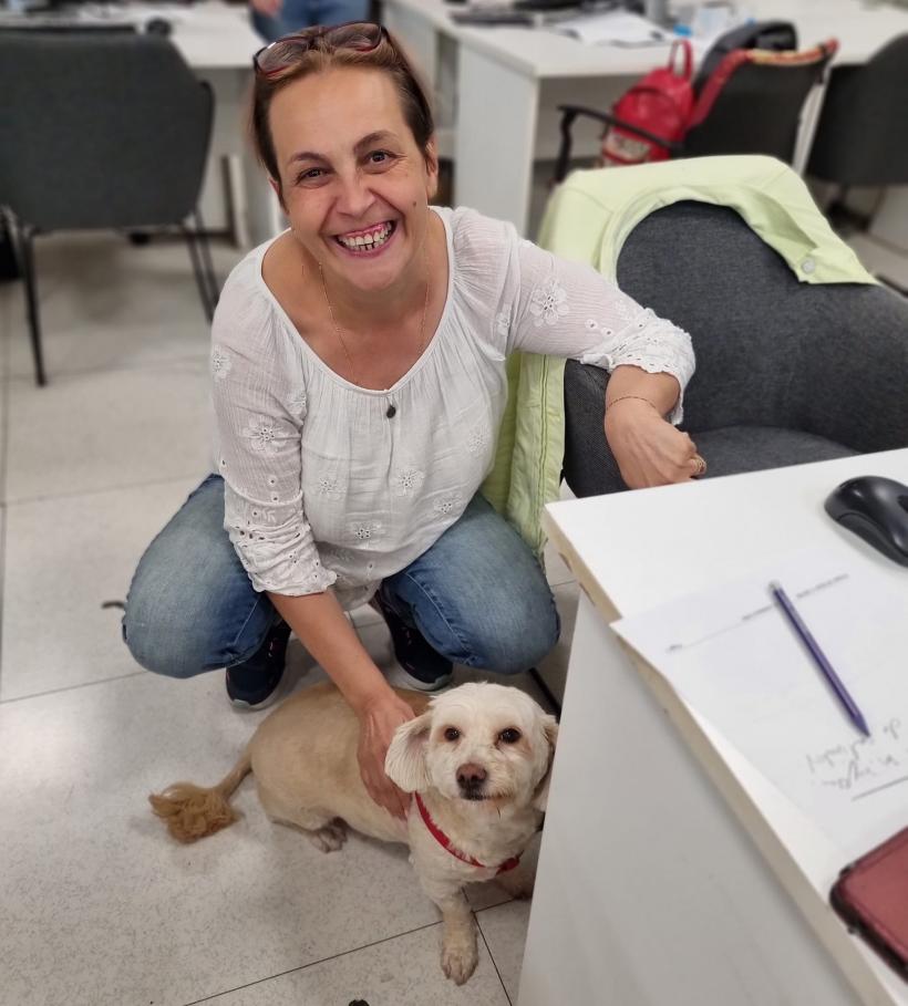 Galerie Foto - Pisicile care ştiu tot ce mişcă-n Capitală: Colonelu` de ...