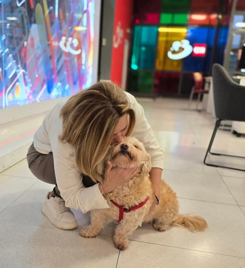 Galerie Foto - Pisicile care ştiu tot ce mişcă-n Capitală: Colonelu` de ...