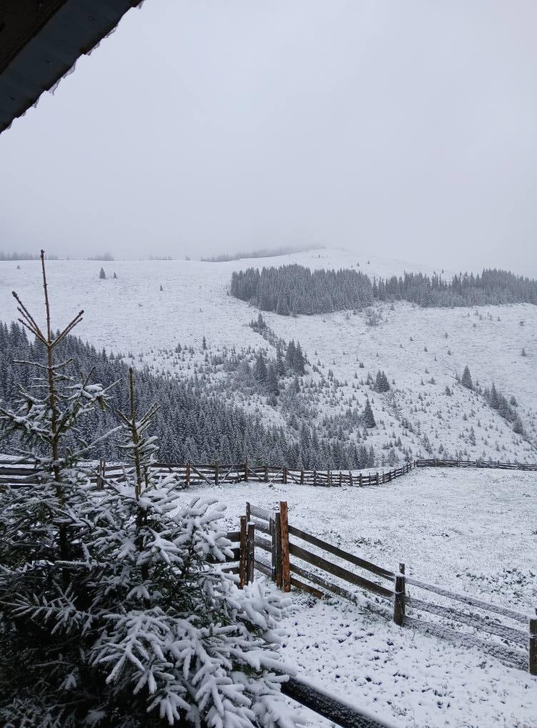 Galerie Foto - Imagini cu ninsorile din zona Moldovei: "Frumos peisaj ...