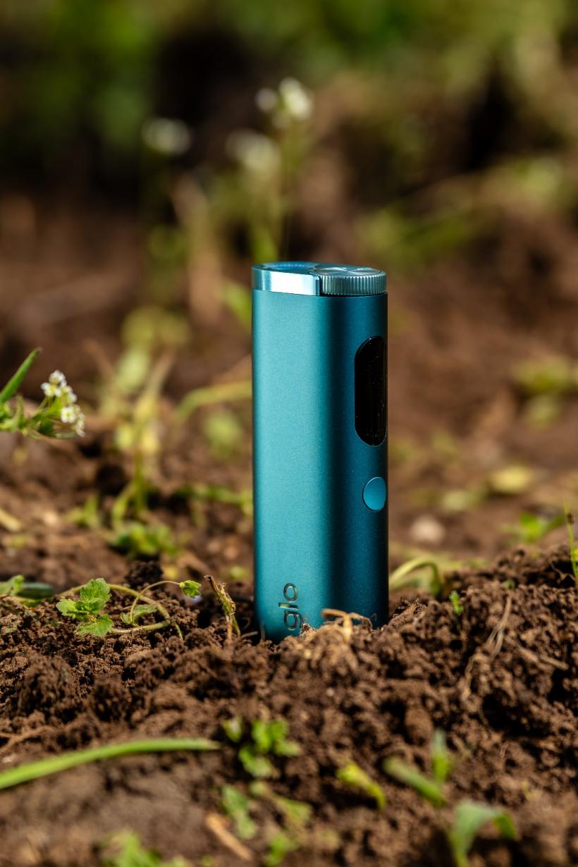 Galerie Foto - Promisiunea glo prinde rădăcini cu fiecare copac plantat ...