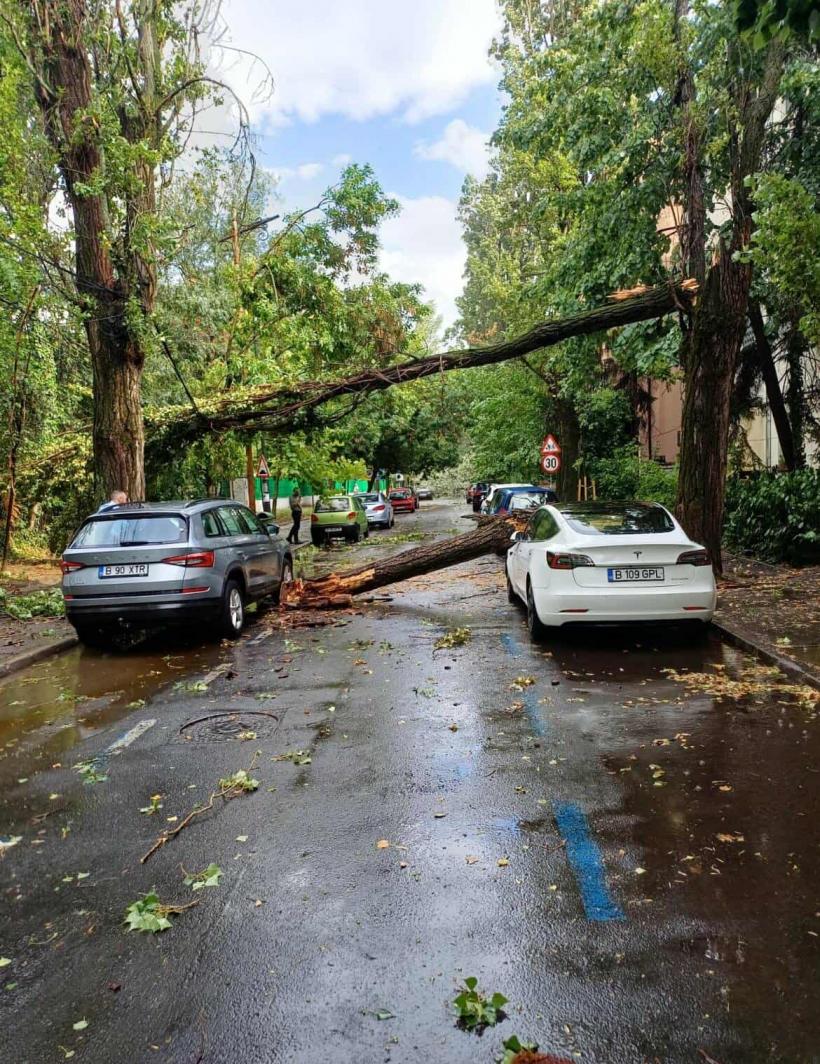 Galerie Foto - Furtună cu efect de uragan în București. O femeie din ...