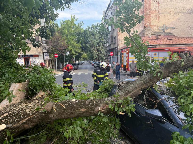 Galerie Foto - Furtună cu efect de uragan în București. O femeie din ...