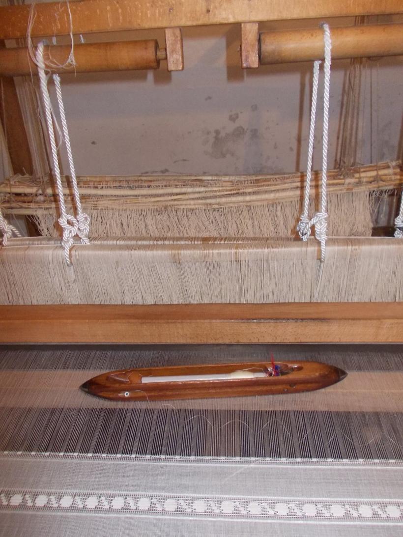 Galerie Foto - Comuna din România unde o familie crește viermi de ...