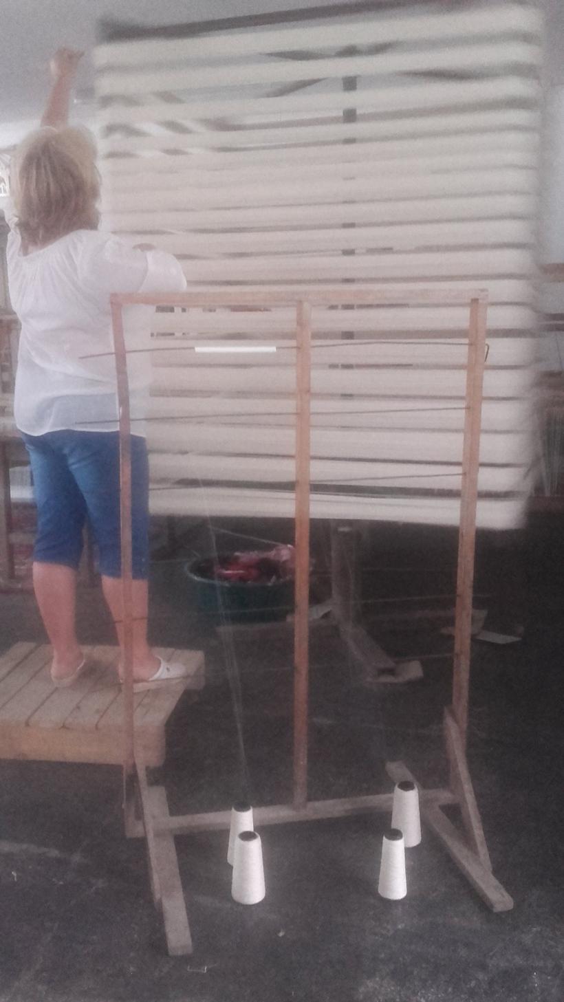 Galerie Foto - Comuna din România unde o familie crește viermi de ...