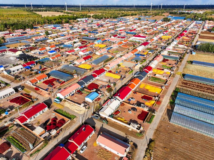 Galerie Foto - A început sezonul de recoltare a ardeilor iuți în China ...