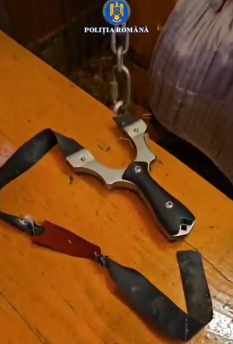 Galerie Foto - Un bărbat din Constanța avea acasă un adevărat arsenal ...